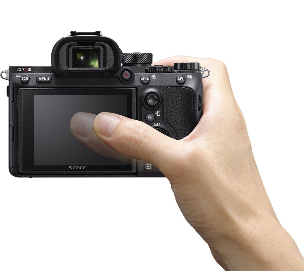 The 10 Main Differences Between the Sony A7rII and A7rIII - Mirrorless ...