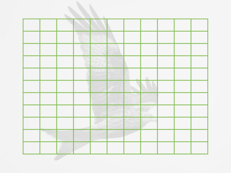 Olympus Pen E-PL8 vs E-PL9 – The 10 Main Differences - Mirrorless ...