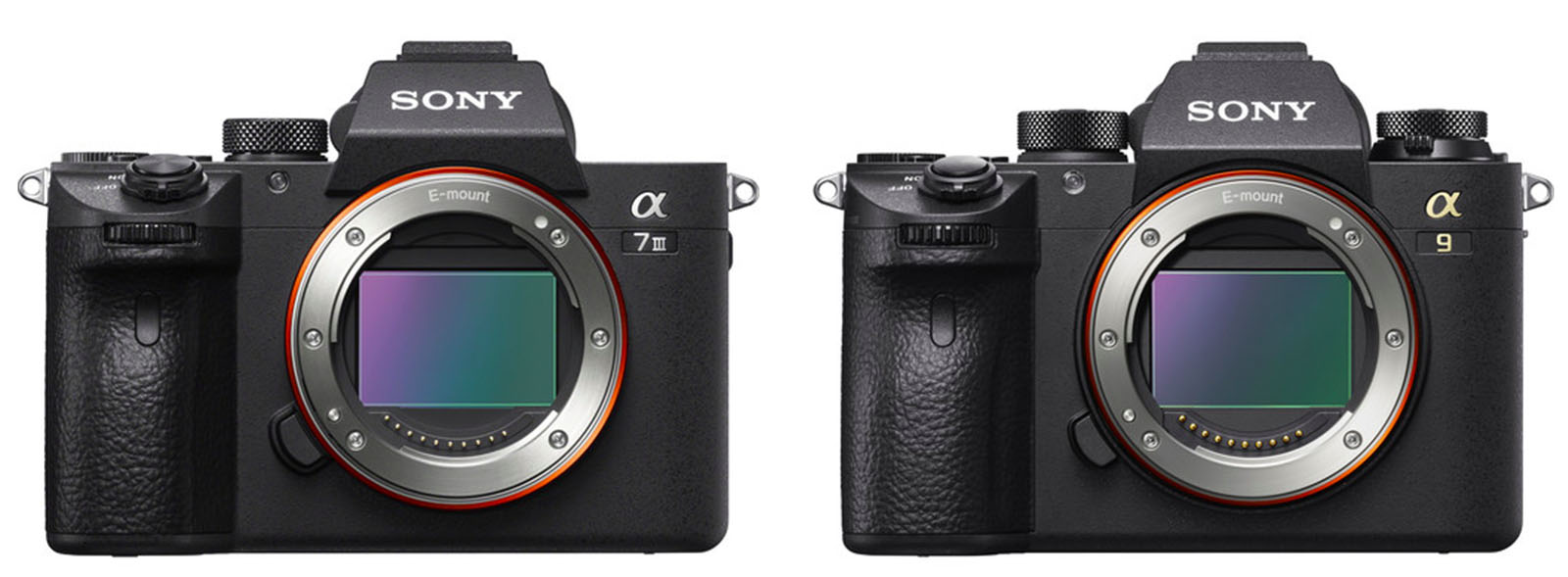 Sony A7 III vs A9 - The 10 Main Differences - Mirrorless Comparison