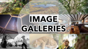 Mirrorless Camera Sample Images - Mirrorless Comparison