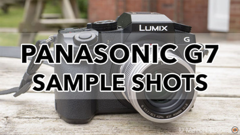 Mirrorless Camera Sample Images - Mirrorless Comparison