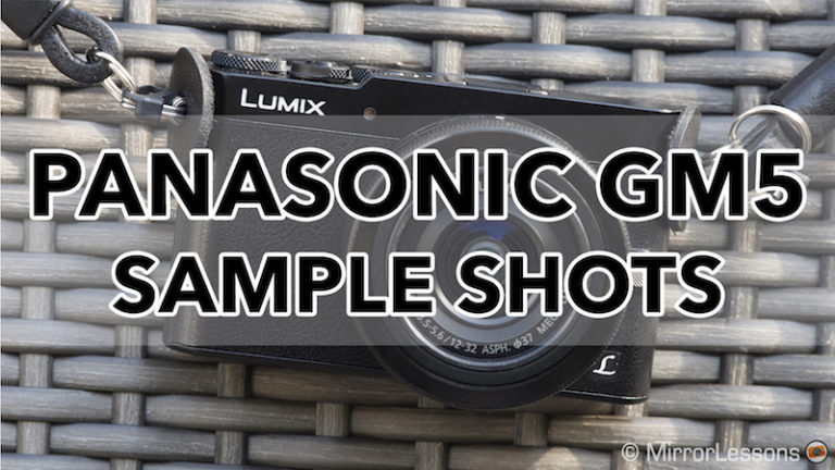 Mirrorless Camera Sample Images - Mirrorless Comparison