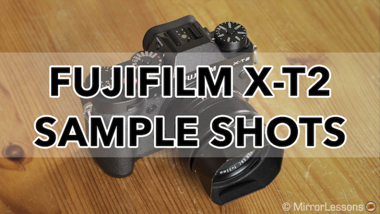 Mirrorless Camera Sample Images - Mirrorless Comparison