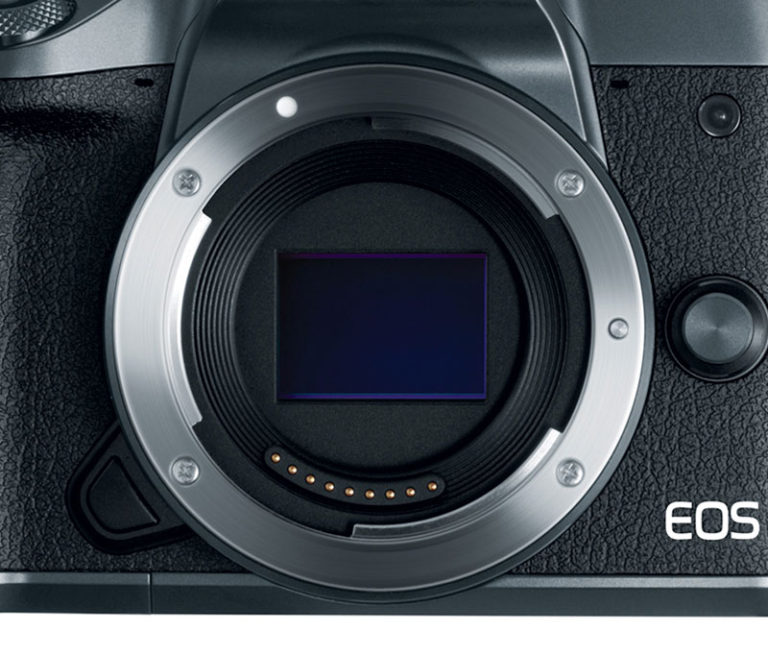 Canon EOS RP vs M50 – The 10 Main Differences - Mirrorless Comparison