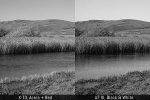 Fujifilm X-T3 vs Sony A7 III - Five key points analysed - Mirrorless ...