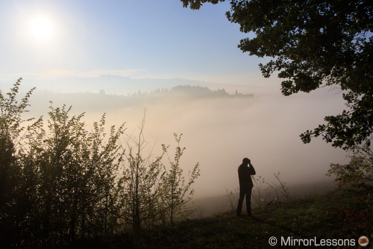 Gallery of Canon EOS R Sample Images (RAW & SOOC JPGs) - Mirrorless Comparison