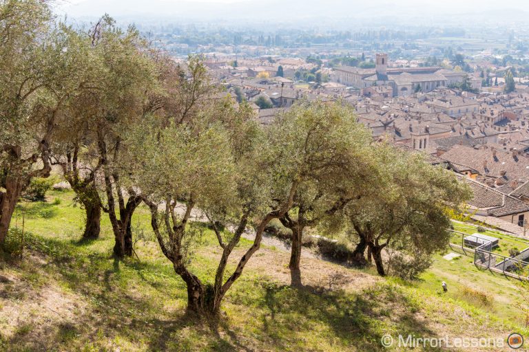 Gallery of Canon EOS R Sample Images (RAW & SOOC JPGs) - Mirrorless ...