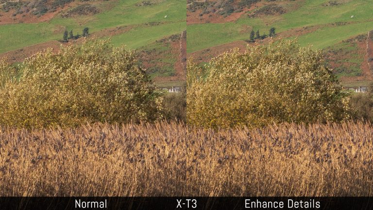 Fujifilm X-T3 vs Sony A7 III - Five key points analysed - Mirrorless Comparison