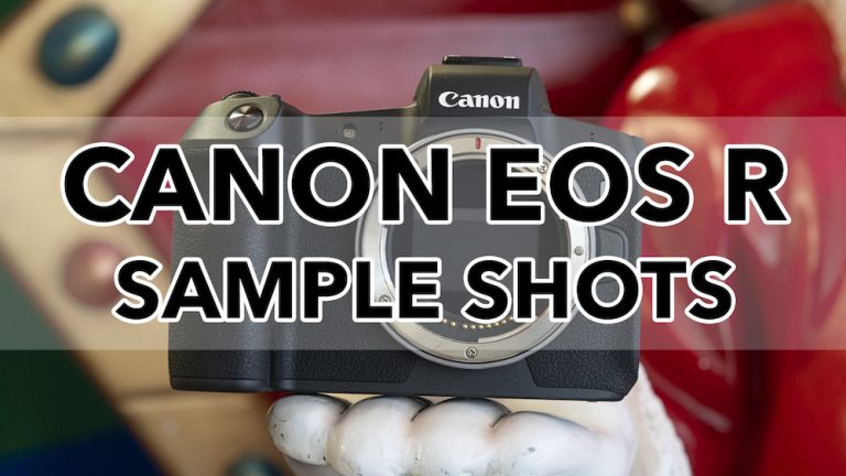 Mirrorless Camera Sample Images - Mirrorless Comparison