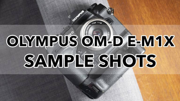 Mirrorless Camera Sample Images - Mirrorless Comparison