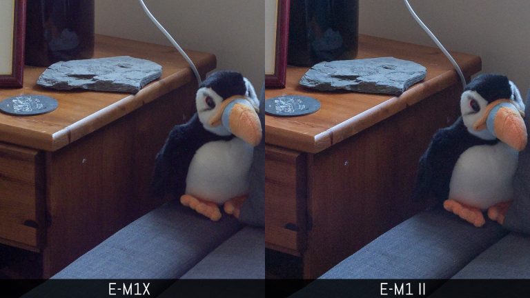 Olympus OM-D E-M1X vs E-M1 II - The Complete Comparison - Mirrorless ...