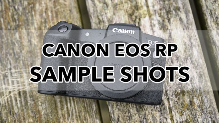 Mirrorless Camera Sample Images - Mirrorless Comparison