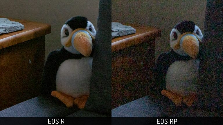 Canon EOS R vs EOS RP - Five key points analysed - Mirrorless Comparison