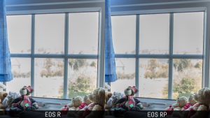 Canon EOS R vs EOS RP - Five key points analysed - Mirrorless Comparison