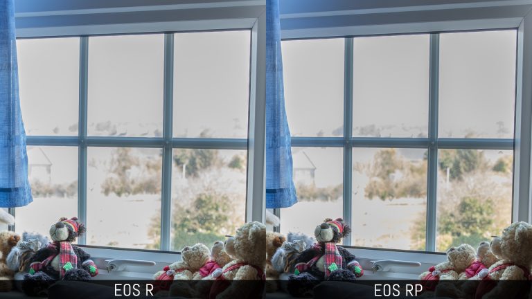 Canon EOS R vs EOS RP - Five key points analysed - Mirrorless Comparison