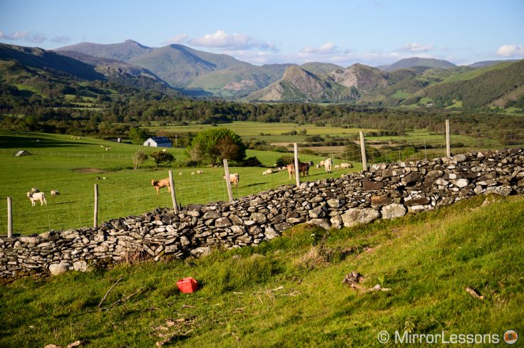 Gallery of Nikon Z6 Sample Images (RAW & SOOC JPGs) - Mirrorless Comparison