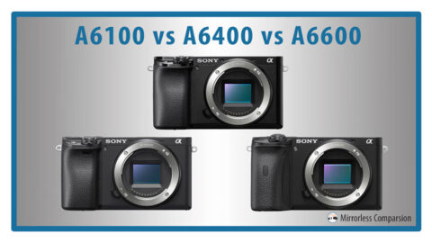 Sony A6100 vs A6400 vs A6600 - The 10 main differences - Mirrorless ...