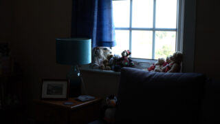 Sony A6000 - Tips & Tricks and Questions Answered - Mirrorless Comparison