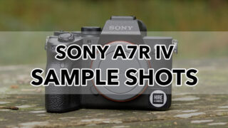 Mirrorless Camera Sample Images - Mirrorless Comparison