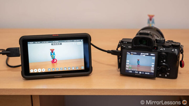 Sony A7 III, A7R III, A9 Viewfinder and Display Settings – Mirrorless ...