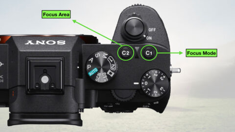Sony A7 III, A7R III, A9 Autofocus Settings - Mirrorless Comparison