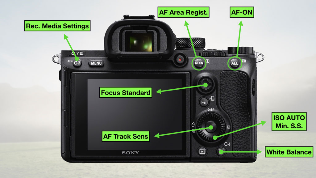Sony A7 III, A7R III, A9 Settings for Sports - Mirrorless Comparison