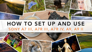 Gallery of Sony A7 II Photo Samples (RAW & SOOC JPGs) - Mirrorless ...