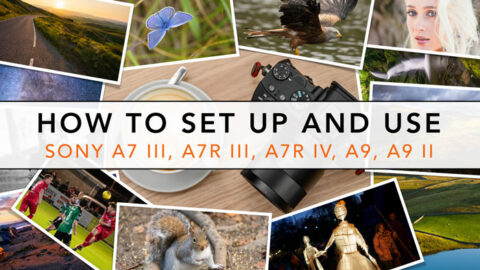 Sony A7 III vs A7R III - The 10 Main Differences - Mirrorless Comparison