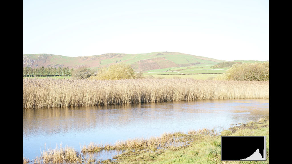 Sony A7 III, A7R III, A9 Landscape Settings - Mirrorless Comparison