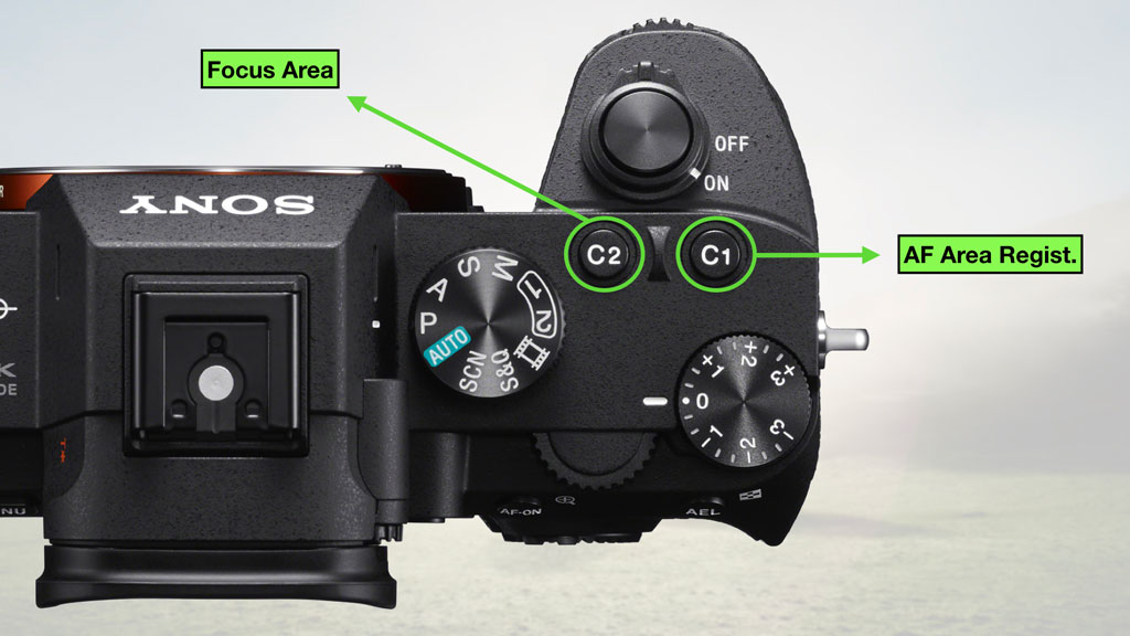 Sony A7 III, A7R III, A9 Settings for Wildlife and Birds - Mirrorless ...