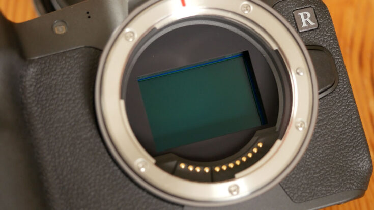 Canon EOS R vs EOS R5 - The Five Main Differences - Mirrorless Comparison