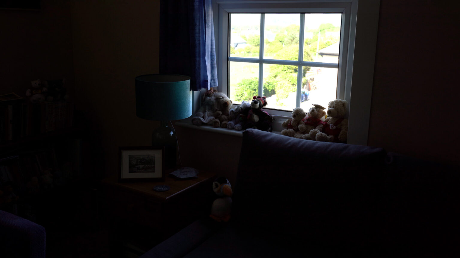 Sony A7 III, A7S II, A7R IV Picture Profiles for Video - Mirrorless ...