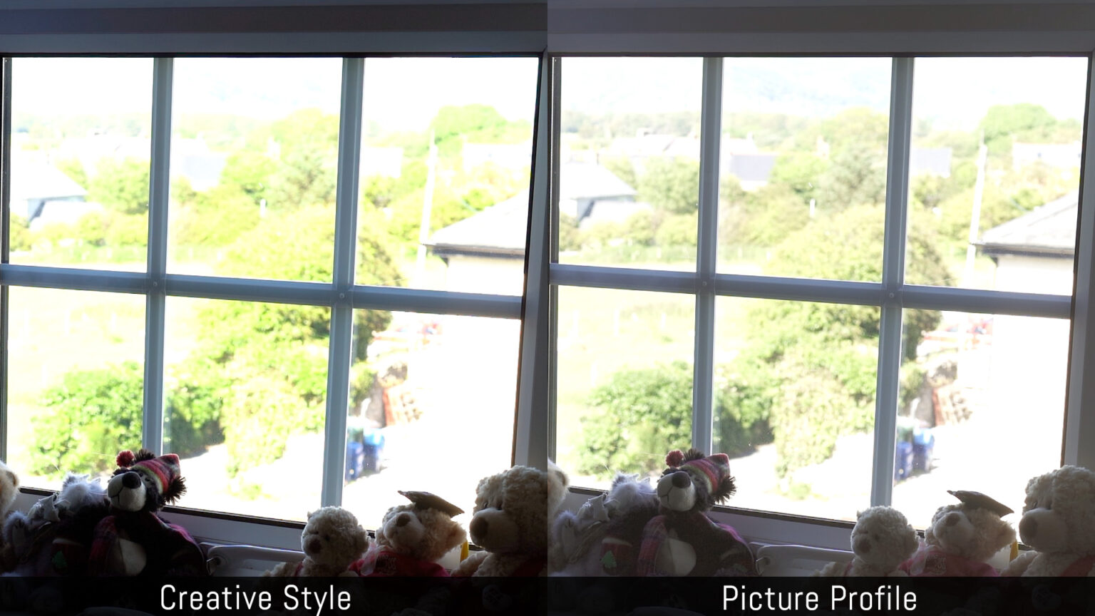 Sony A7 III, A7S II, A7R IV Picture Profiles for Video - Mirrorless ...