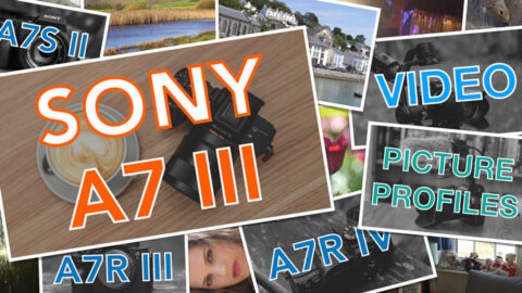 Sony A7 III, A7S II, A7R IV Picture Profiles for Video - Mirrorless ...