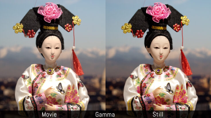 Sony A7 III, A7S II, A7R IV Picture Profiles for Video - Mirrorless ...