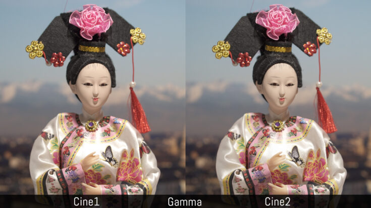 Sony A7 III, A7S II, A7R IV Picture Profiles for Video - Mirrorless ...