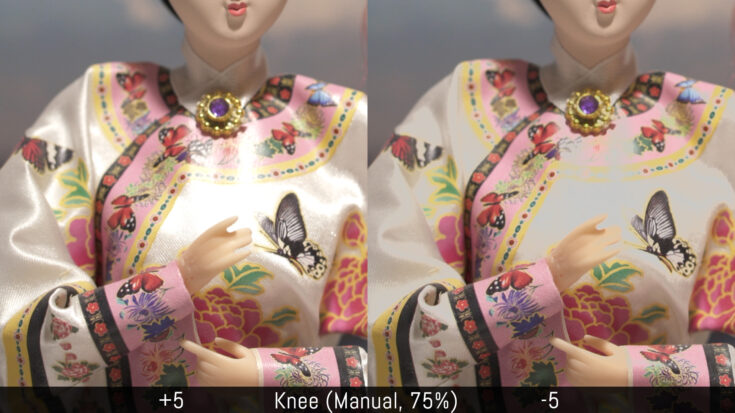 Sony A7 III, A7S II, A7R IV Picture Profiles for Video - Mirrorless ...