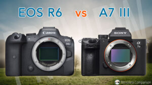 Canon EOS R6 vs Sony A7 III - The 10 Main Differences and Full ...