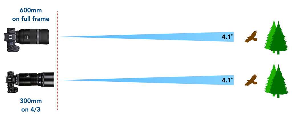 Olympus 300mm F4 vs Canon 600mm F11 - Full Frame vs Micro Four Thirds ...