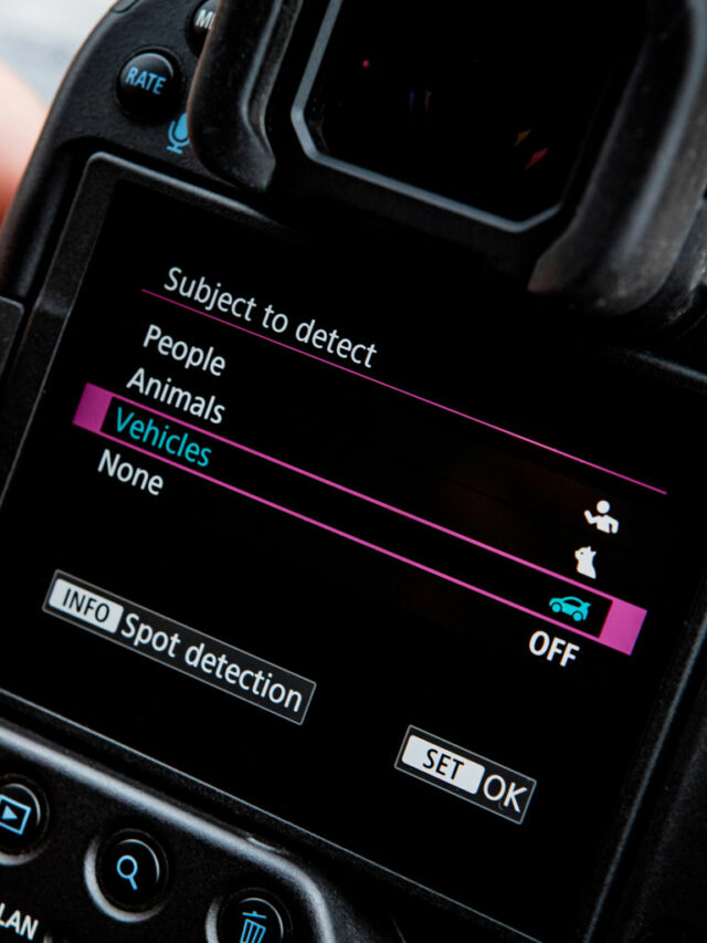 Canon EOS R3 vs R5 - The 10 Main Differences - Mirrorless Comparison