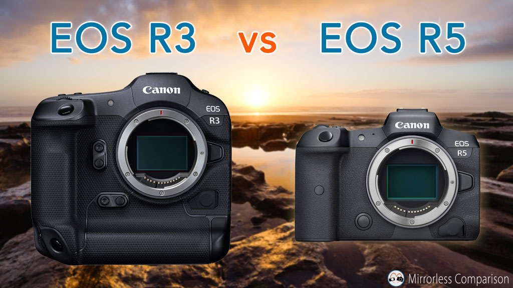Canon EOS R3 Vs R5 The 10 Main Differences Mirrorless Comparison Canon EOS R3 Vs R5 The 10 Main Differences Mirrorless Comparison