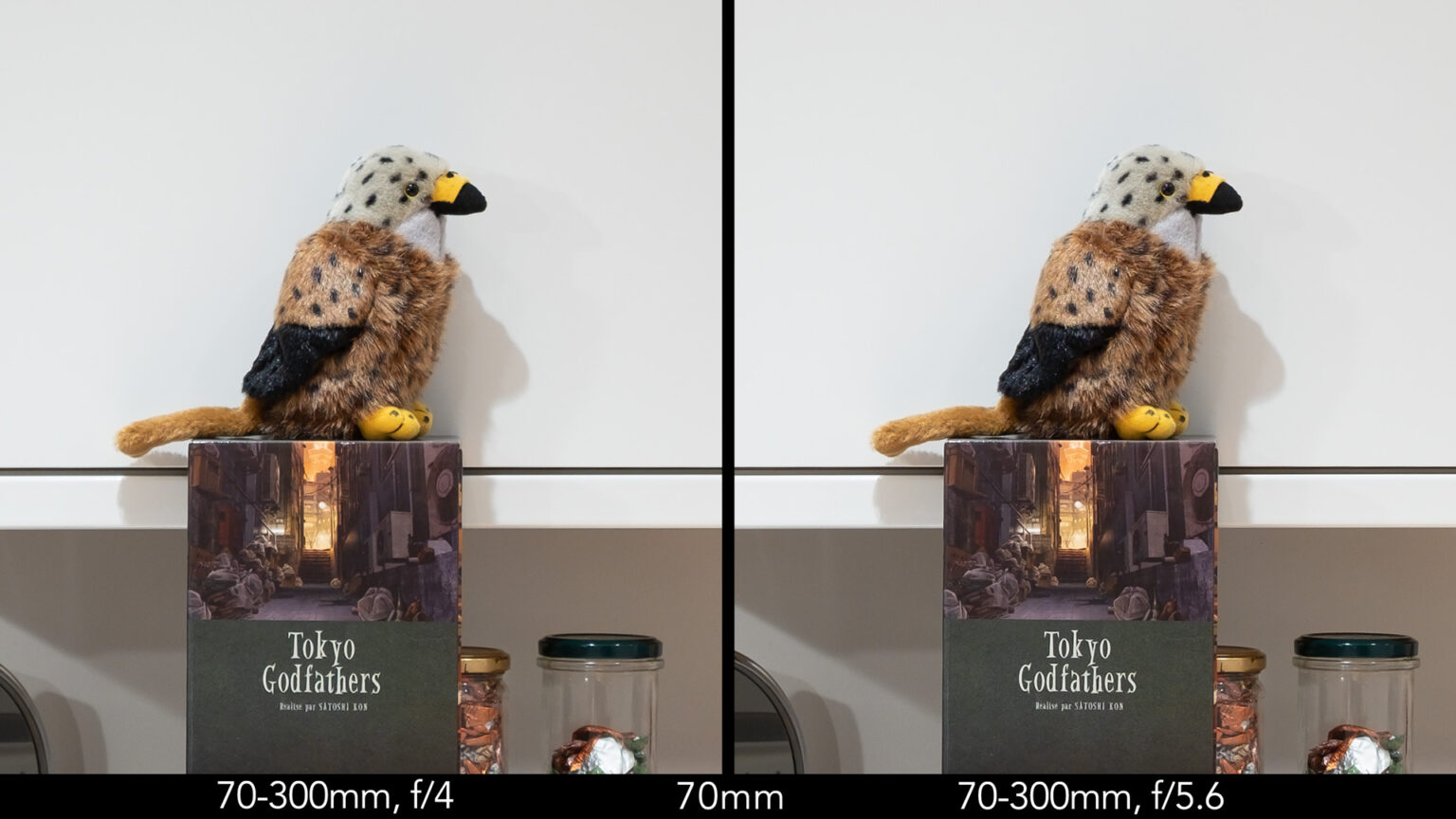 Fujifilm 70-300mm vs 100-400mm - The Full Comparison - Mirrorless Comparison