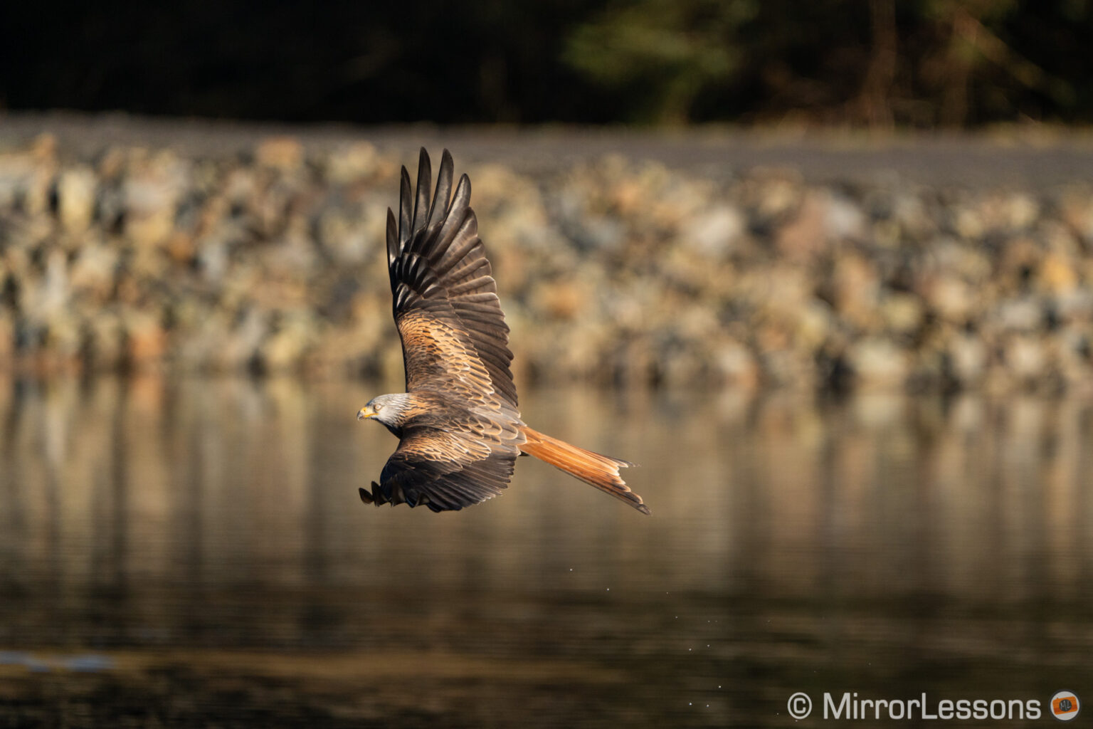 Sony A7CR vs A7 IV - The 10 Main Differences - Mirrorless Comparison