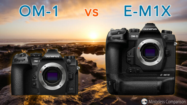 OM System OM-1 vs Olympus OM-D E-M1X - The 10 Main Differences ...