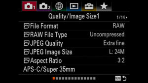 Sony A9 II vs A9 III - The 10 Main Differences - Mirrorless Comparison