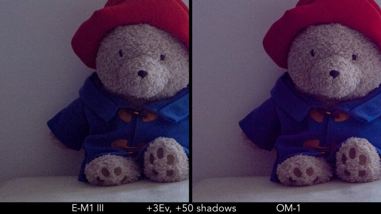OM system OM-1 vs OM-5 - The 10 Main Differences - Mirrorless Comparison