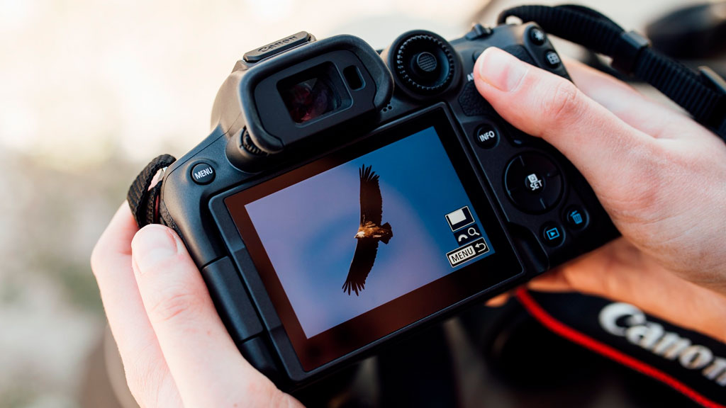 Canon EOS R7 vs R10 - The 10 Main Differences - Mirrorless Comparison