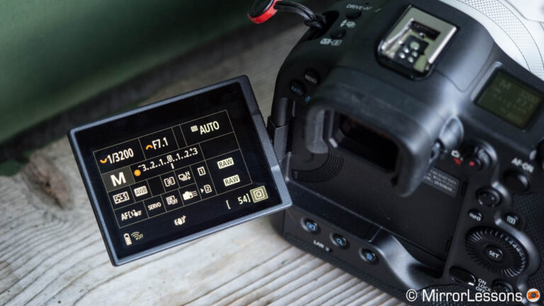 Canon R3 for Bird and Wildlife Photography - Mirrorless Comparison