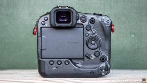 Canon R3 for Bird and Wildlife Photography - Mirrorless Comparison