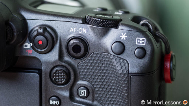 Canon R3 for Bird and Wildlife Photography - Mirrorless Comparison